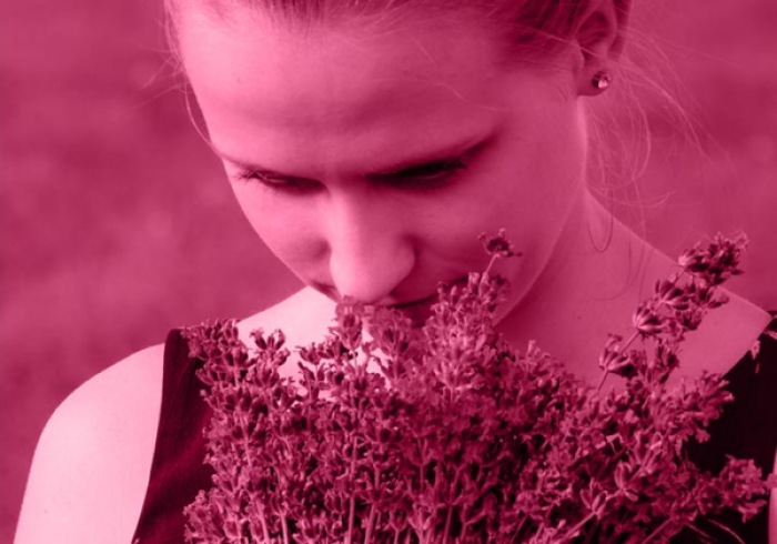 Vom Reiz der Sinne – Wahrnehmung und Gehirn 2023 | Giordano Bruno Stiftung